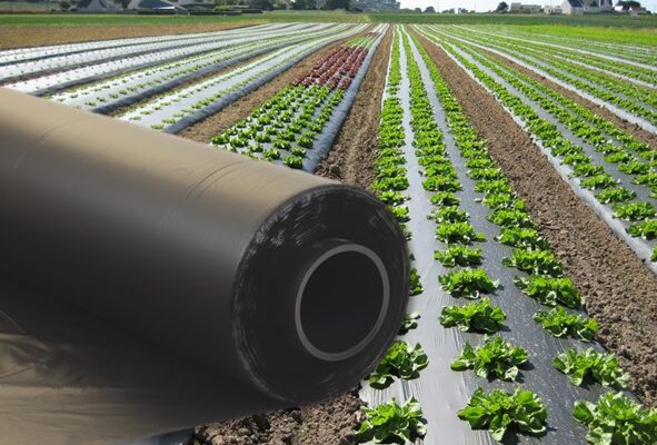 Products - OPACKGROUP