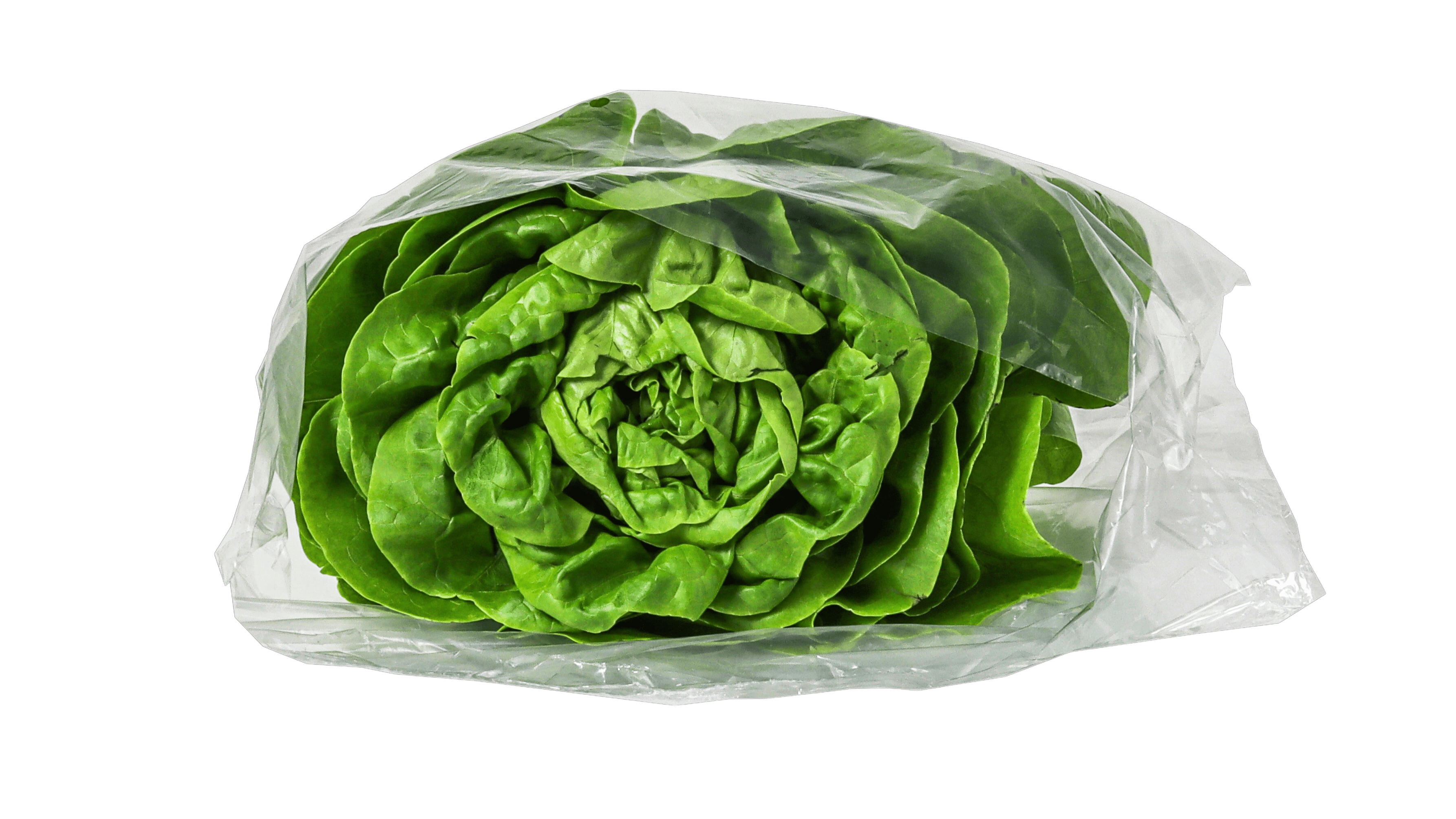 Lettuce bags - OPACKGROUP